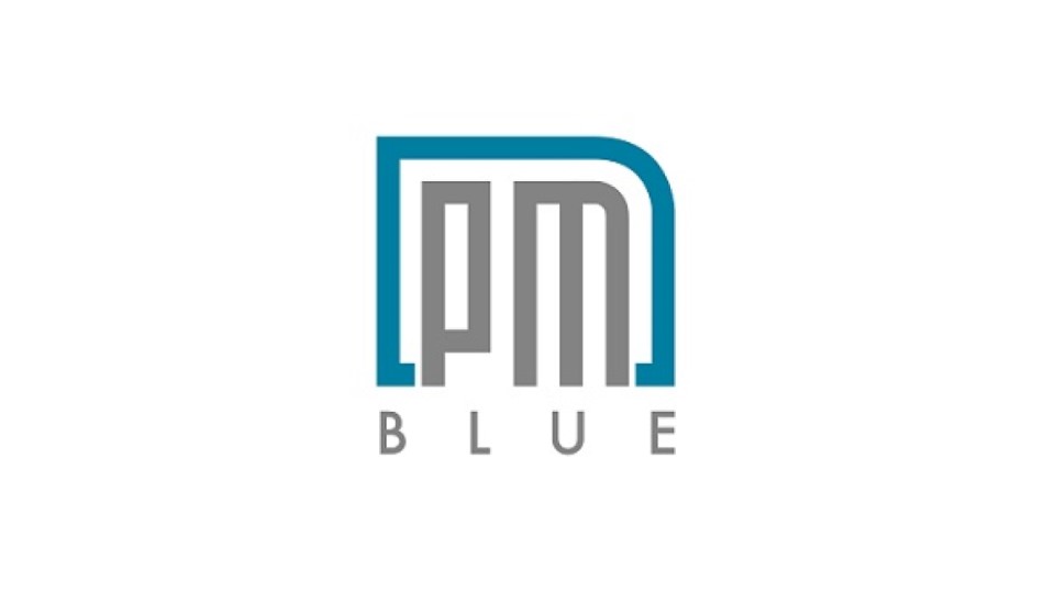 PM Blue GmbH - AV Alliance
